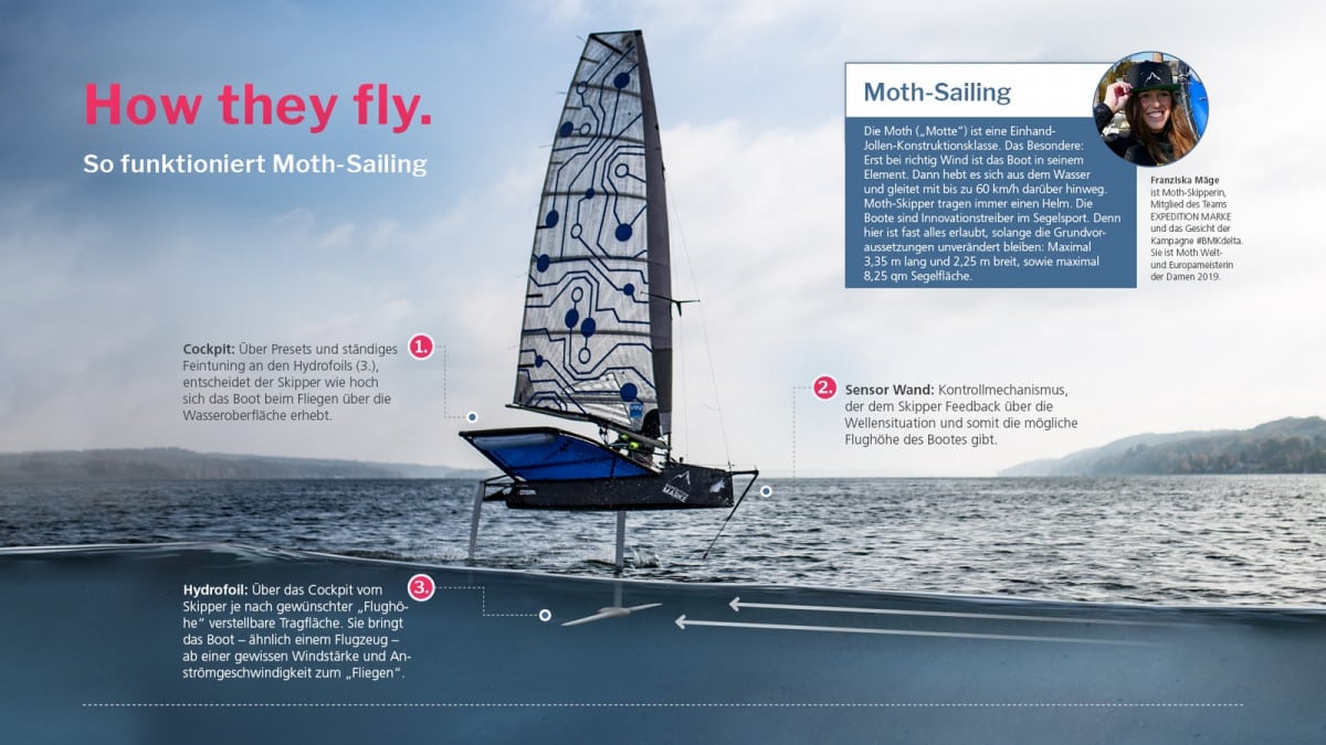 How they fly: So funktioniert Moth-Sailing - proteco involtainment® group
